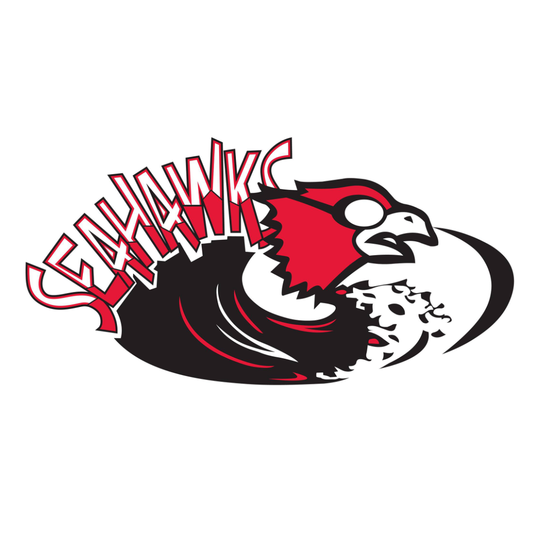 Severe Clear Design Studio